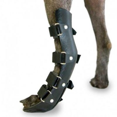 Dog Rear Leg Brace - Canine Knee Brace for Hind Leg ACL - neosportslab.com