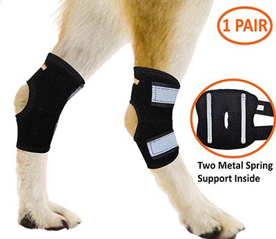 Dog Ankle Brace – Canine Hock Brace for Achilles – neosportslab.com