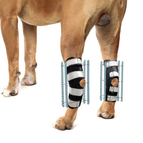 Dog Rear Leg Brace – Canine Knee Brace for Hind Leg ACL – neosportslab.com