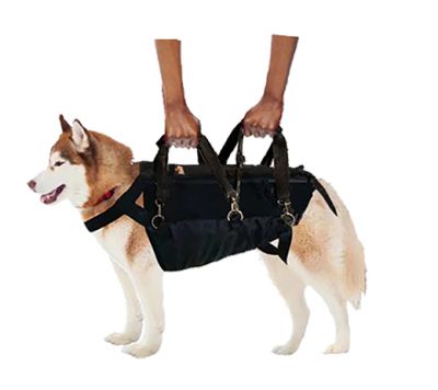 Dog Lift Harness Full Body Support Sling for Senior or Handicapped Dogs ...