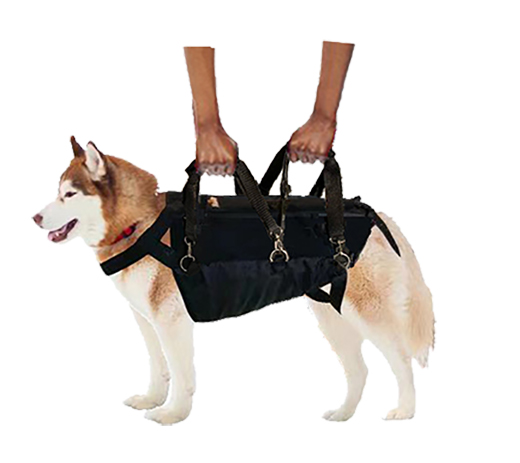 Dog Lift Harness Full Body Support Sling for Senior or Handicapped Dogs ...