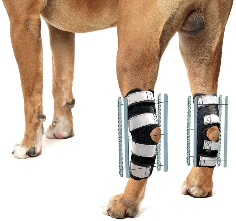 NeoAlly 3-in-1 Dog Splint Braces [Long Version] for Rear Leg Support ...
