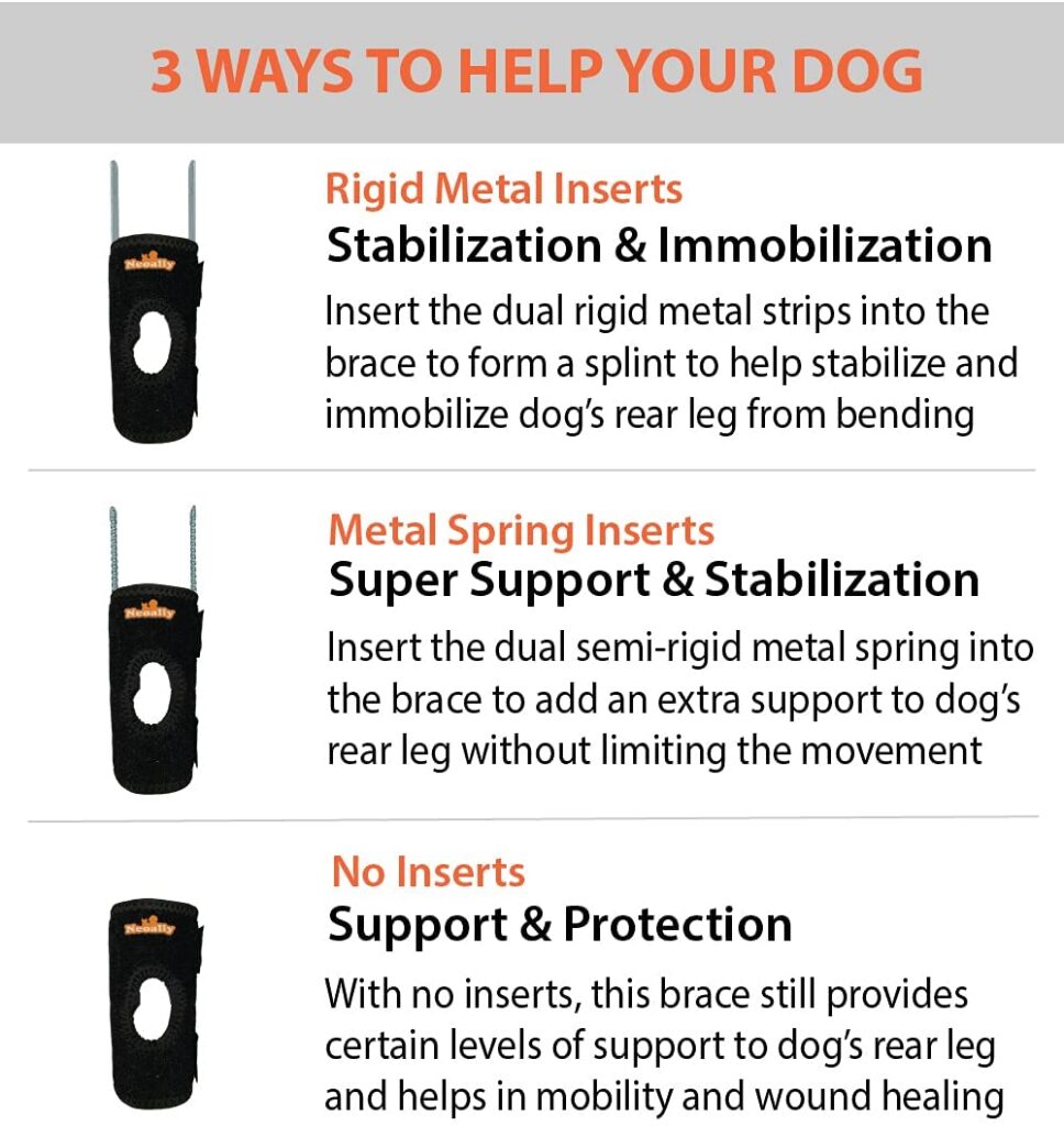 NeoAlly 3-in-1 Dog Splint Braces [Short Version] for Small Dogs or ...