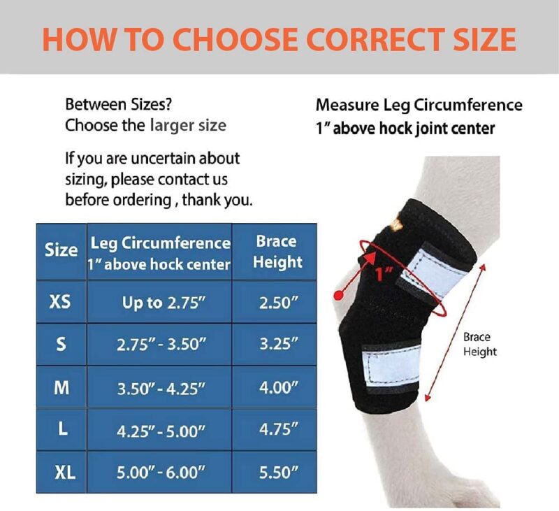 NeoAlly 3-in-1 Dog Splint Braces [Short Version] for Small Dogs or ...