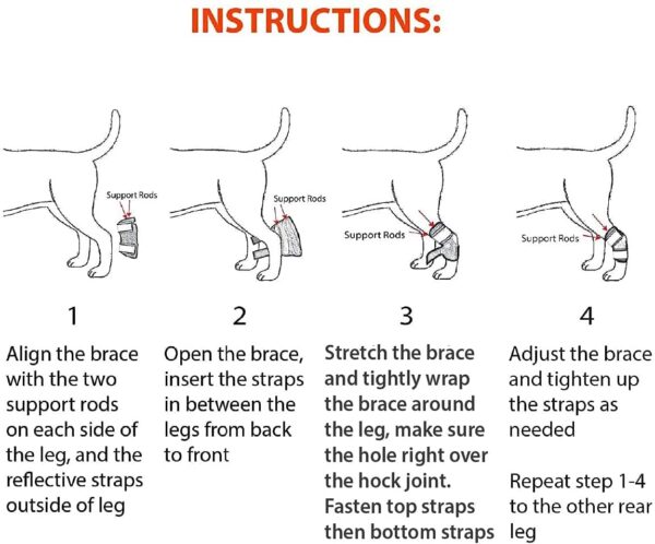 NeoAlly 3-in-1 Dog Splint Braces [Short Version] for Small Dogs or ...