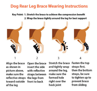 Rear Leg Hock Brace [Long Version] for Dog and Cat (Pair ...