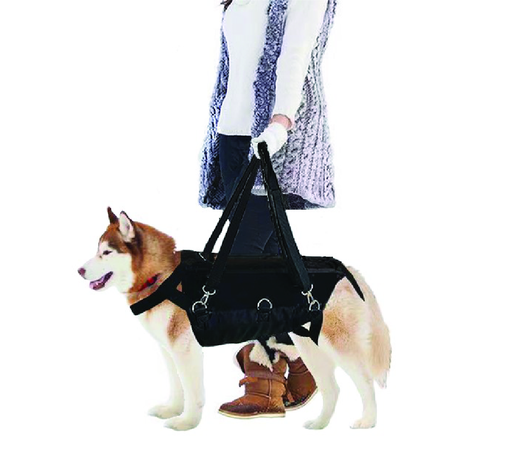 Full-Body Support Harness for Dogs and Cats – neosportslab.com