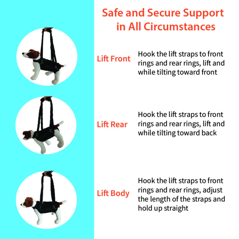 Full-Body Support Harness for Dogs and Cats – neosportslab.com