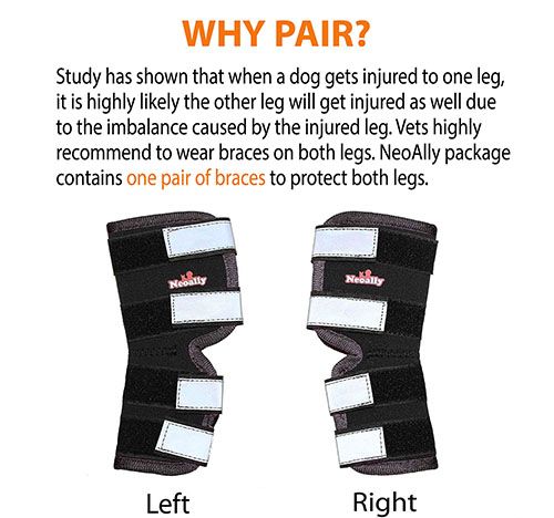 Rear Leg Hock Brace [Long Version] for Dog and Cat (Pair ...